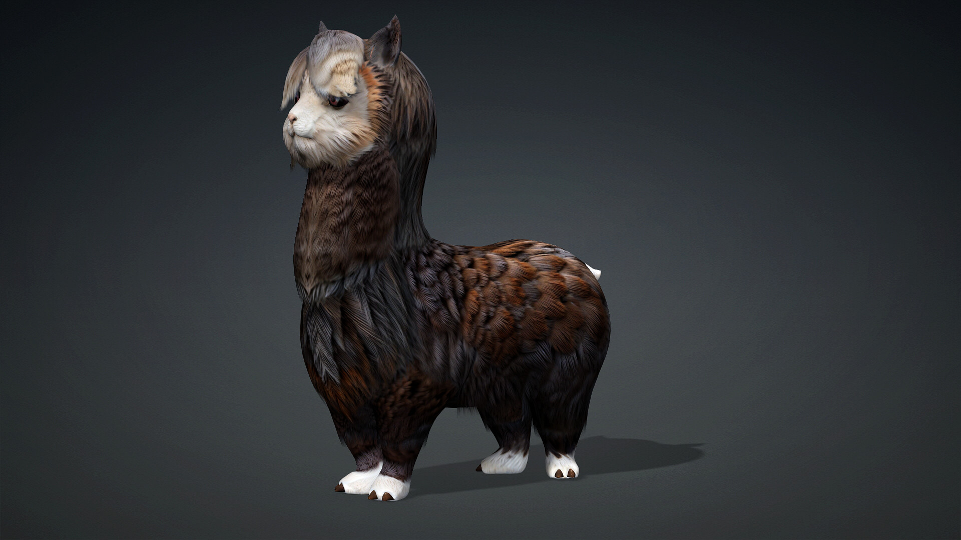 Alpaca-A3-Animated 3D Animation by Animated3d