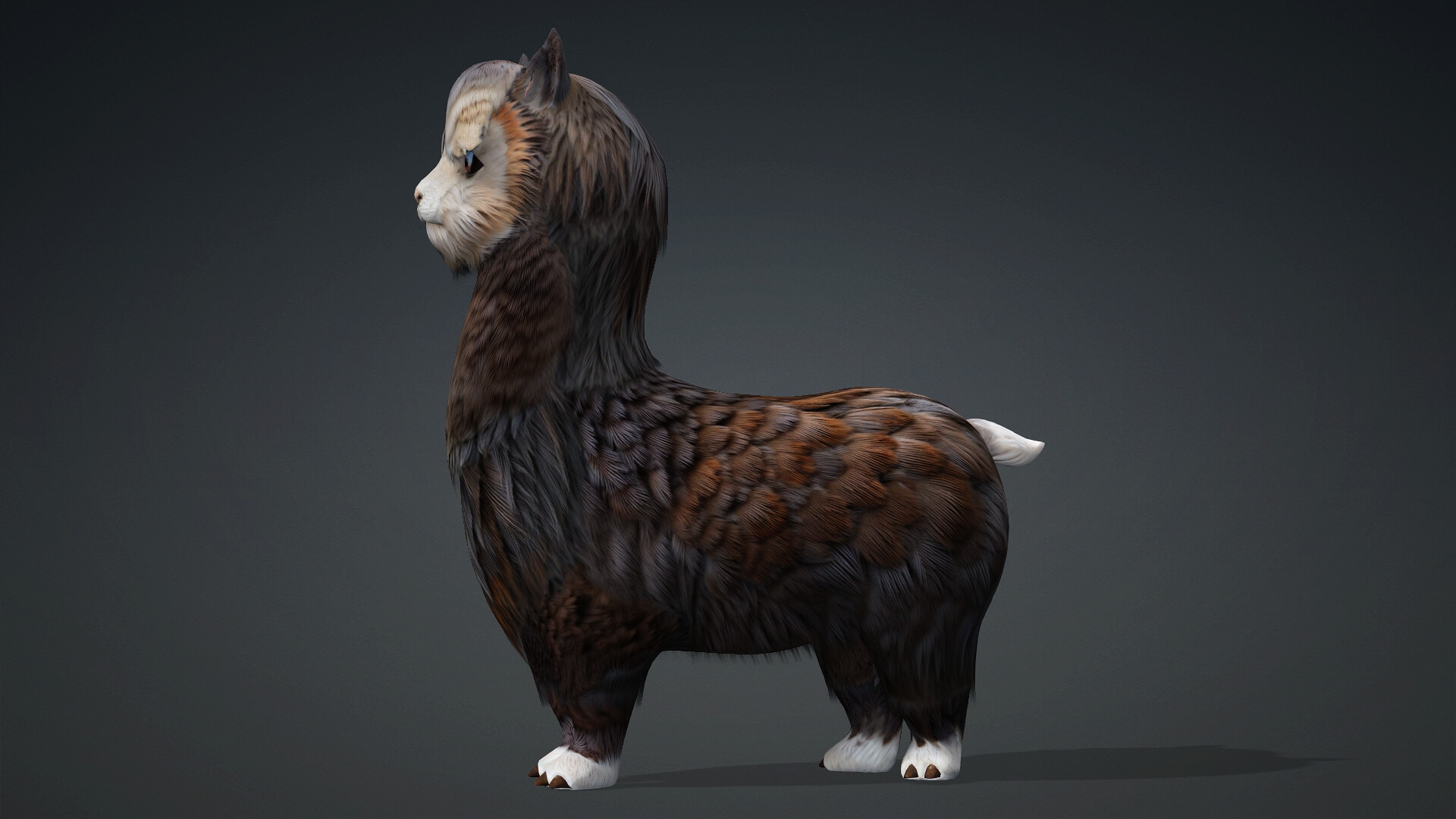 Alpaca-A3-Animated 3D Animation by Animated3d