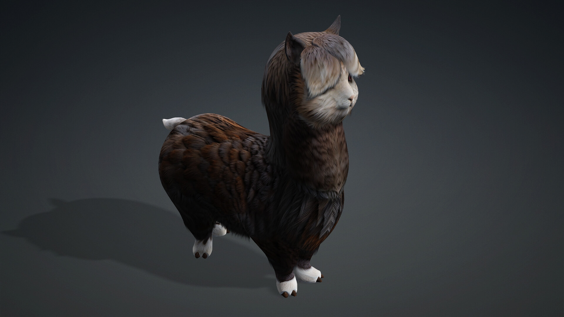 Alpaca-A3-Animated 3D Animation by Animated3d