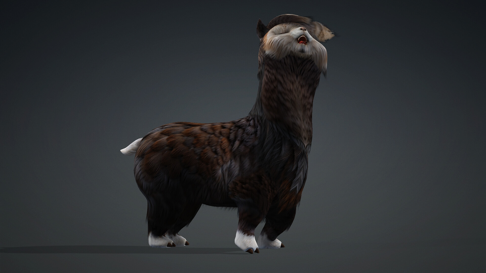 Alpaca-A3-Animated 3D Animation by Animated3d