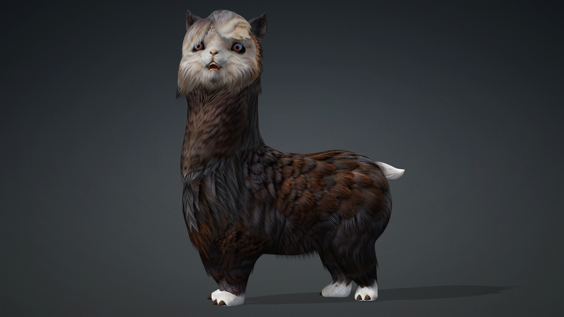 Alpaca-A3-Animated 3D Animation by Animated3d