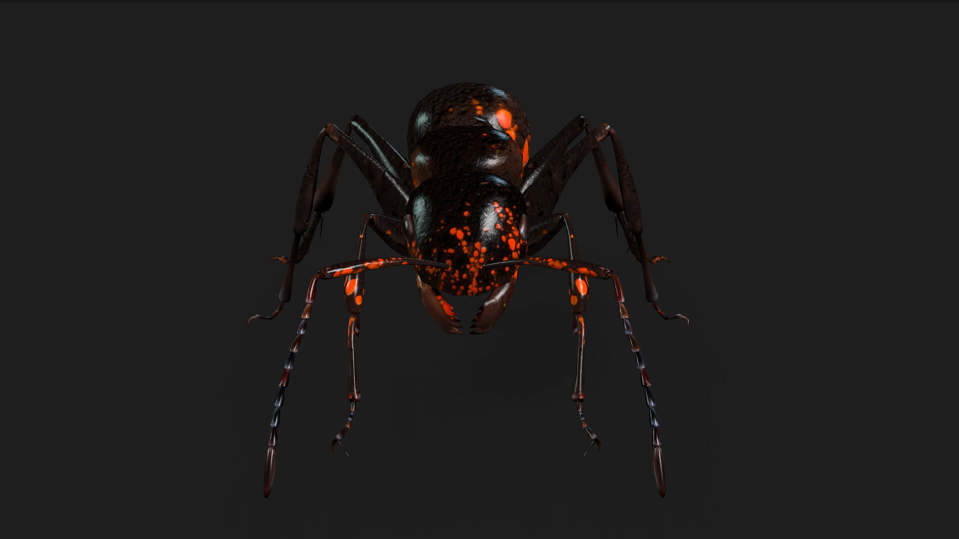 Ant-A2-Animated 3D Model by Animated3d
