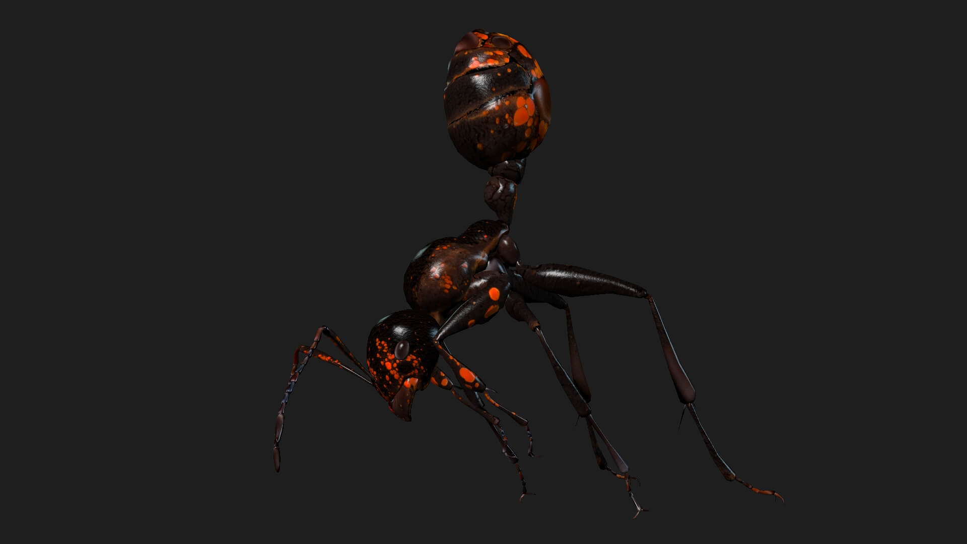 Ant A2 Animated - 3D Model by Animated3d