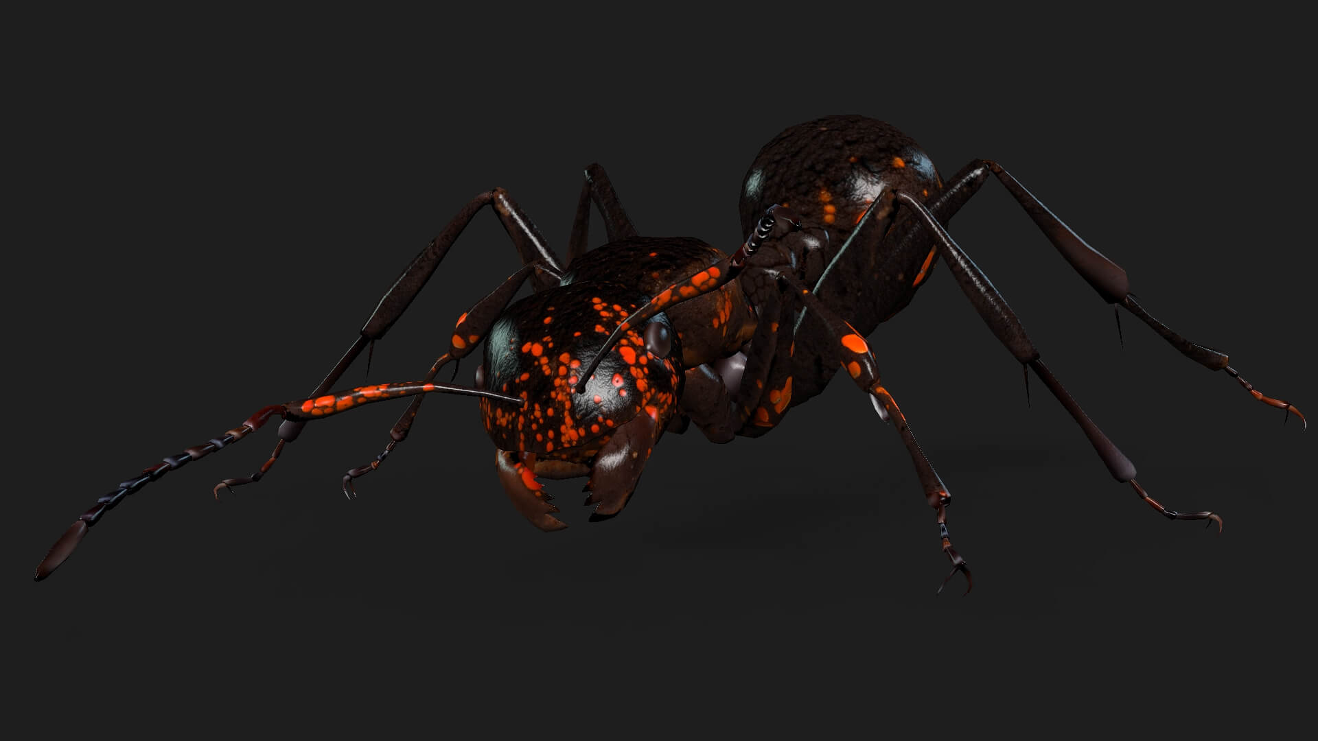 Ant-A2-Animated 3D Model by Animated3d