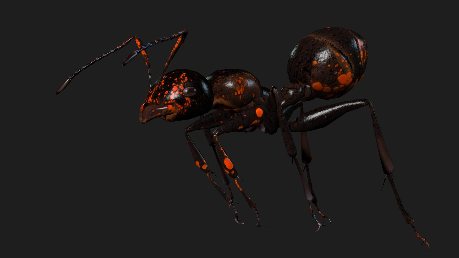 Ant A2 Animated - 3D Model by Animated3d