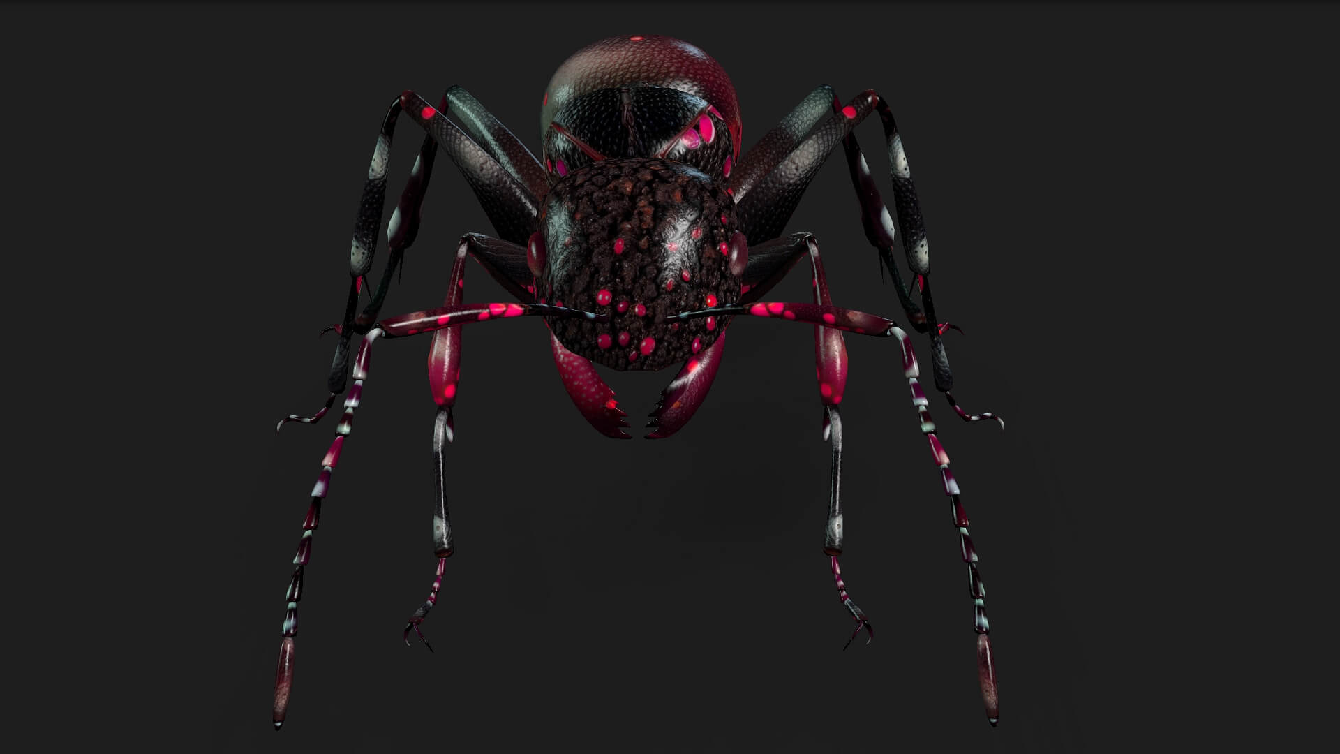 Ant-A3-Animated 3D Model by Animated3d