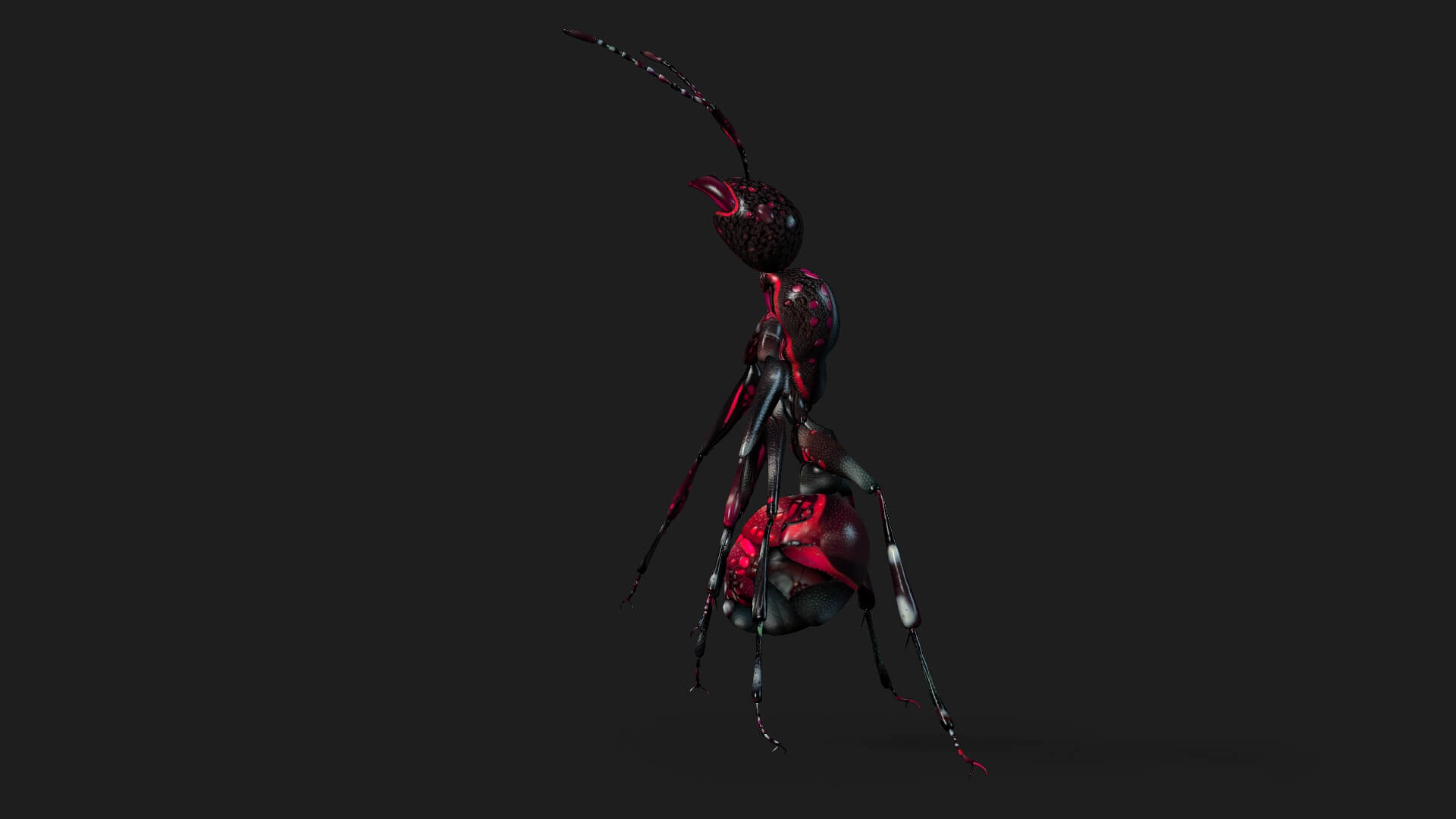 Ant-A3-Animated 3D Model by Animated3d