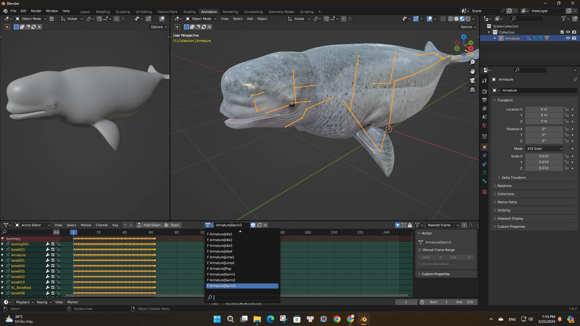 Beluga-Animated 3D Model by Animated3d