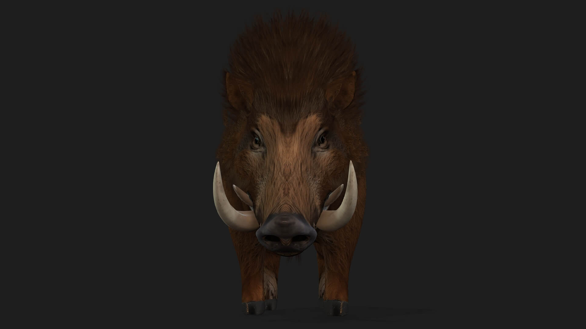 Boar-A1-Animated 3D Model by Animated3d