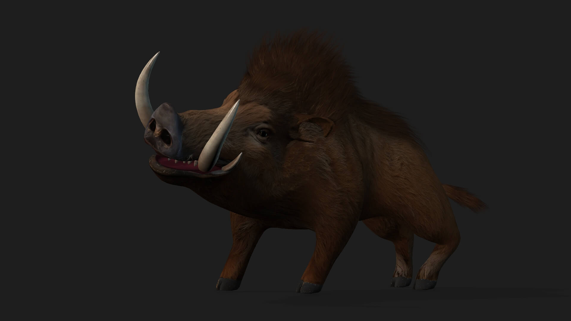 Boar-A1-Animated 3D Model by Animated3d