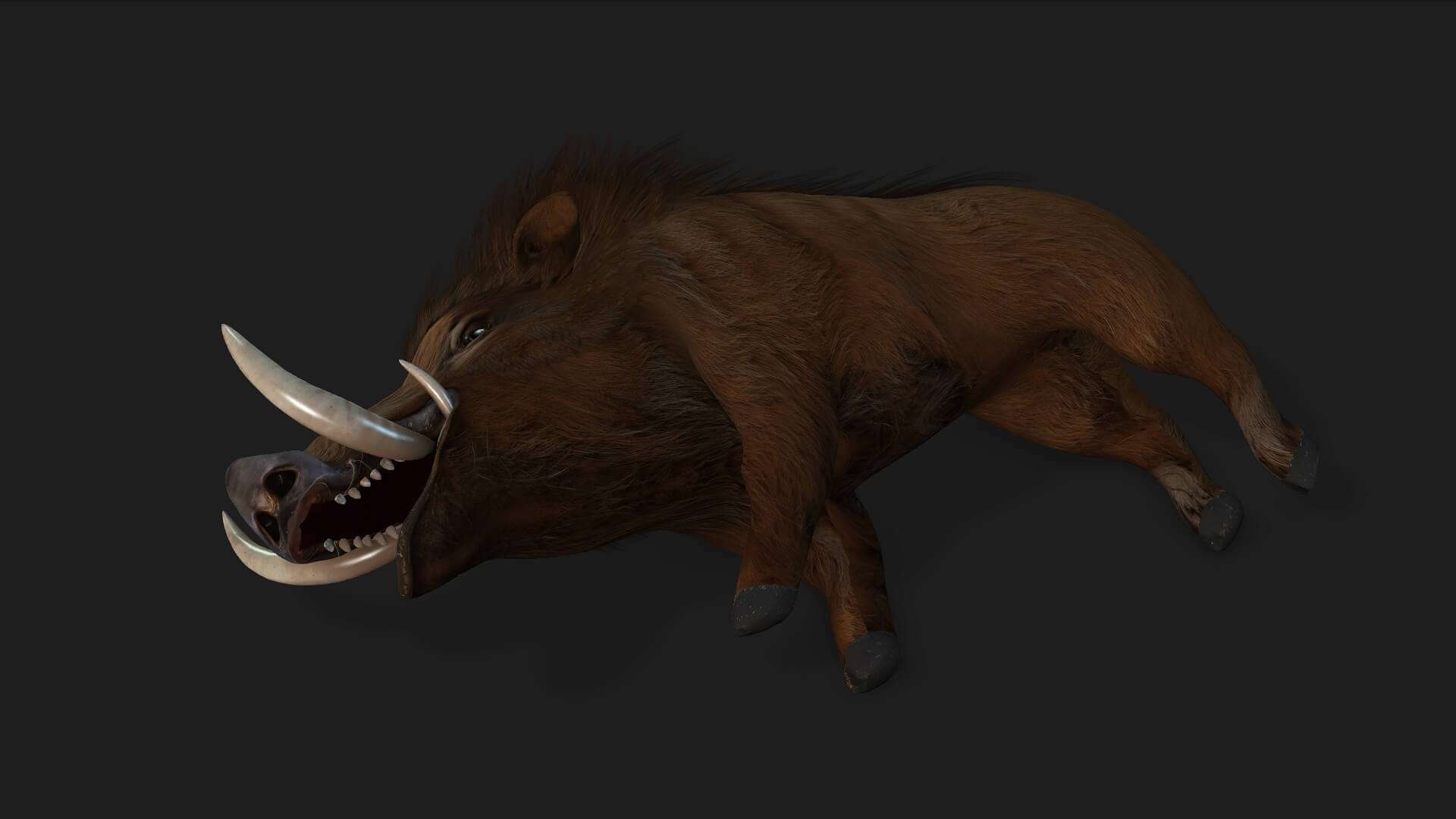 Boar-A1-Animated 3D Model by Animated3d