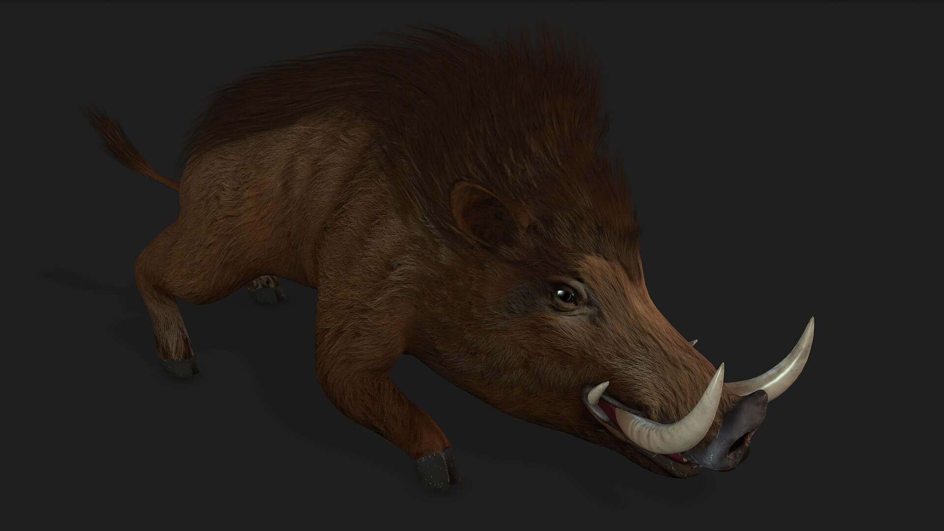Boar-A1-Animated 3D Model by Animated3d