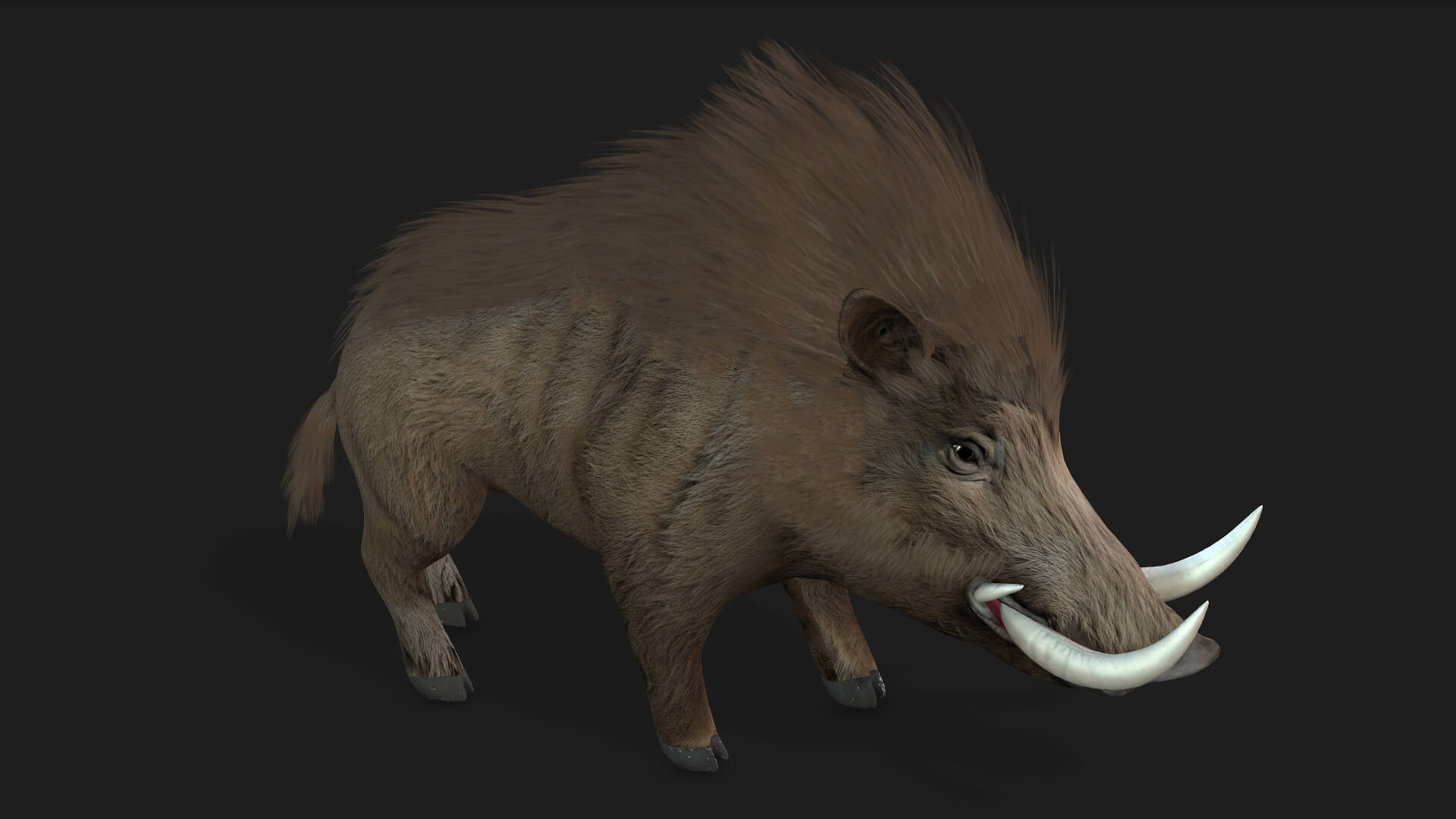 Boar-A2-Animated 3D Model by Animated3d