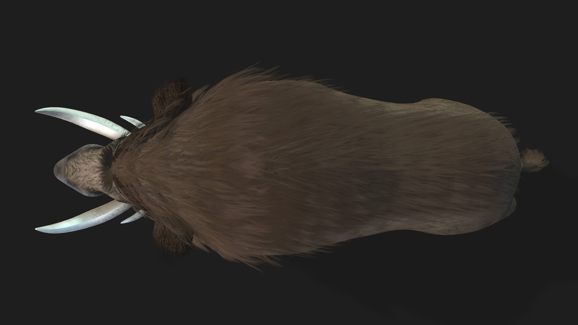 Boar-A2-Animated 3D Model by Animated3d