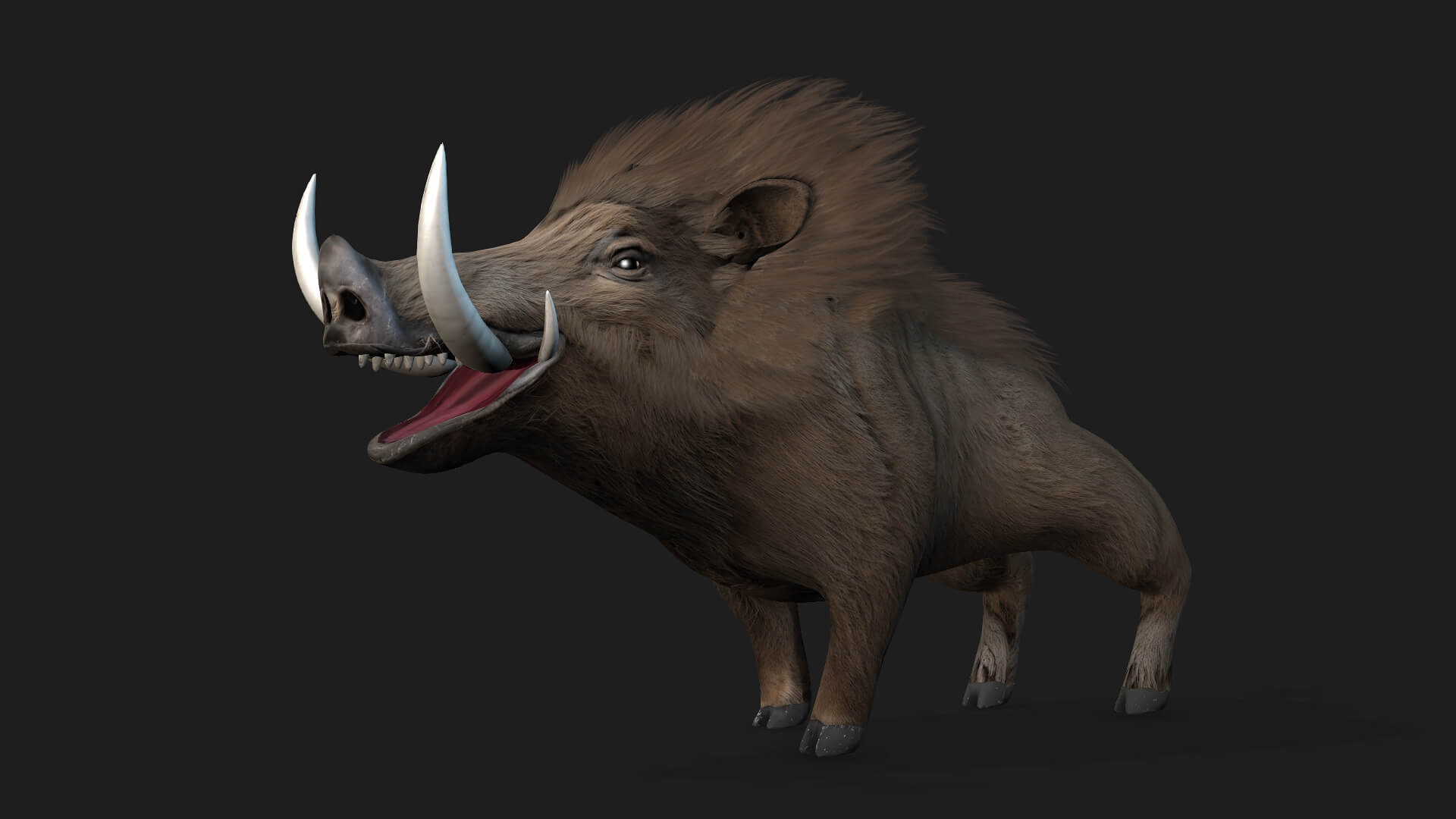 Boar-A2-Animated 3D Model by Animated3d