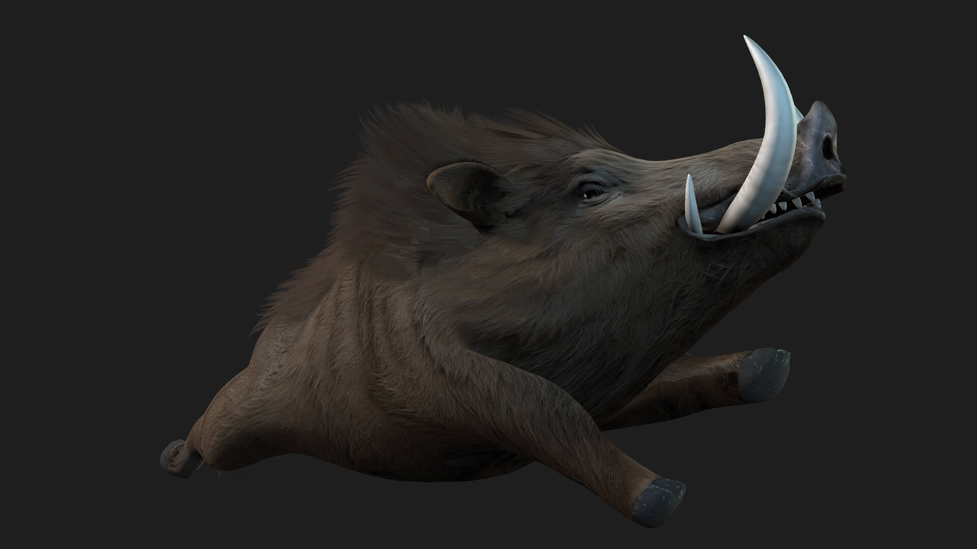 Boar-A2-Animated 3D Model by Animated3d