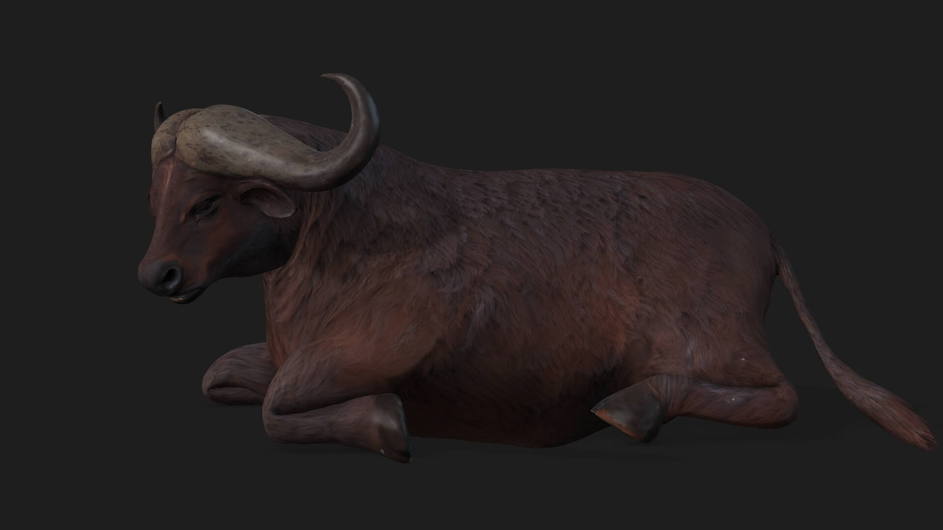 Buffalo A1 Animated - 3D Model by Animated3d