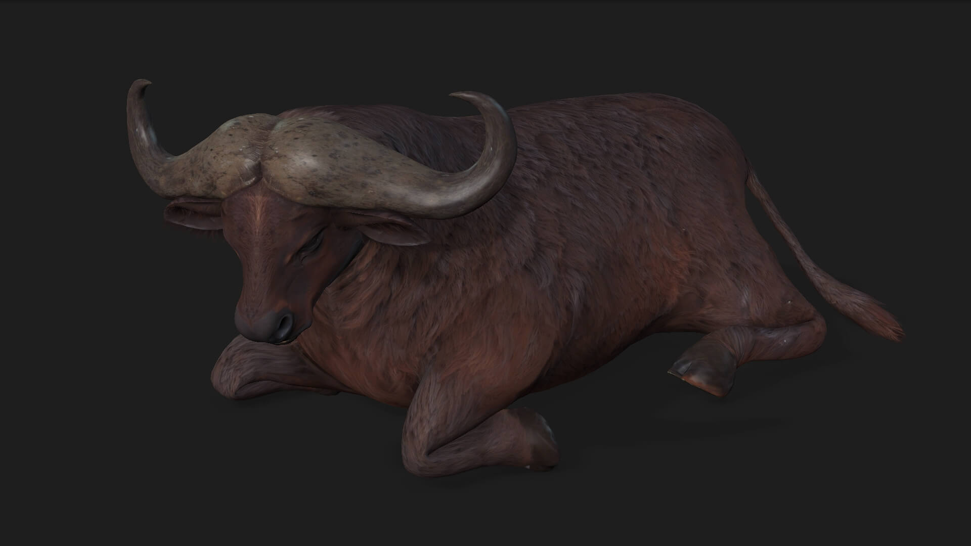 Buffalo A1 Animated - 3D Model by Animated3d