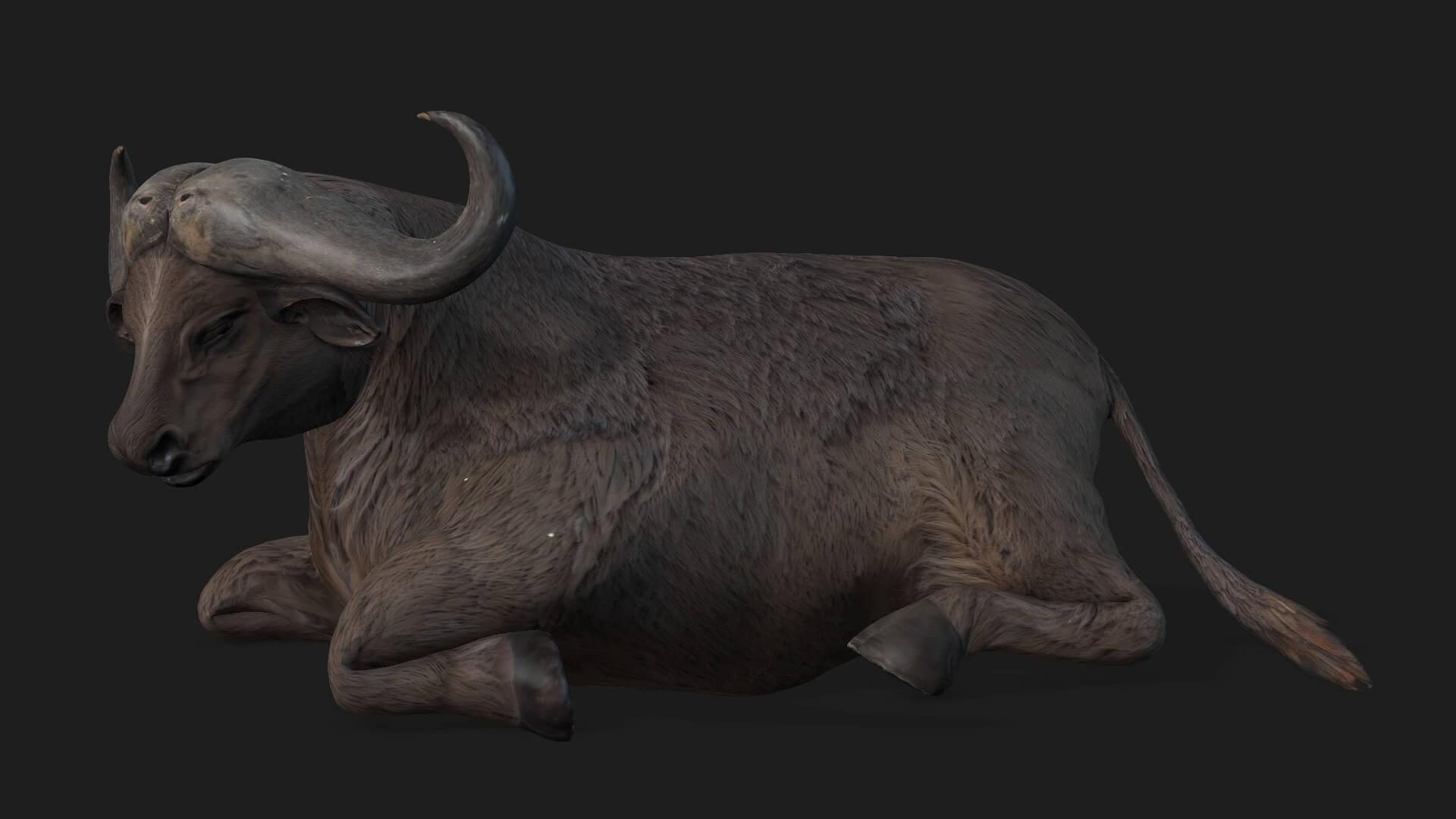Buffalo A2 Animated - 3D Model by Animated3d
