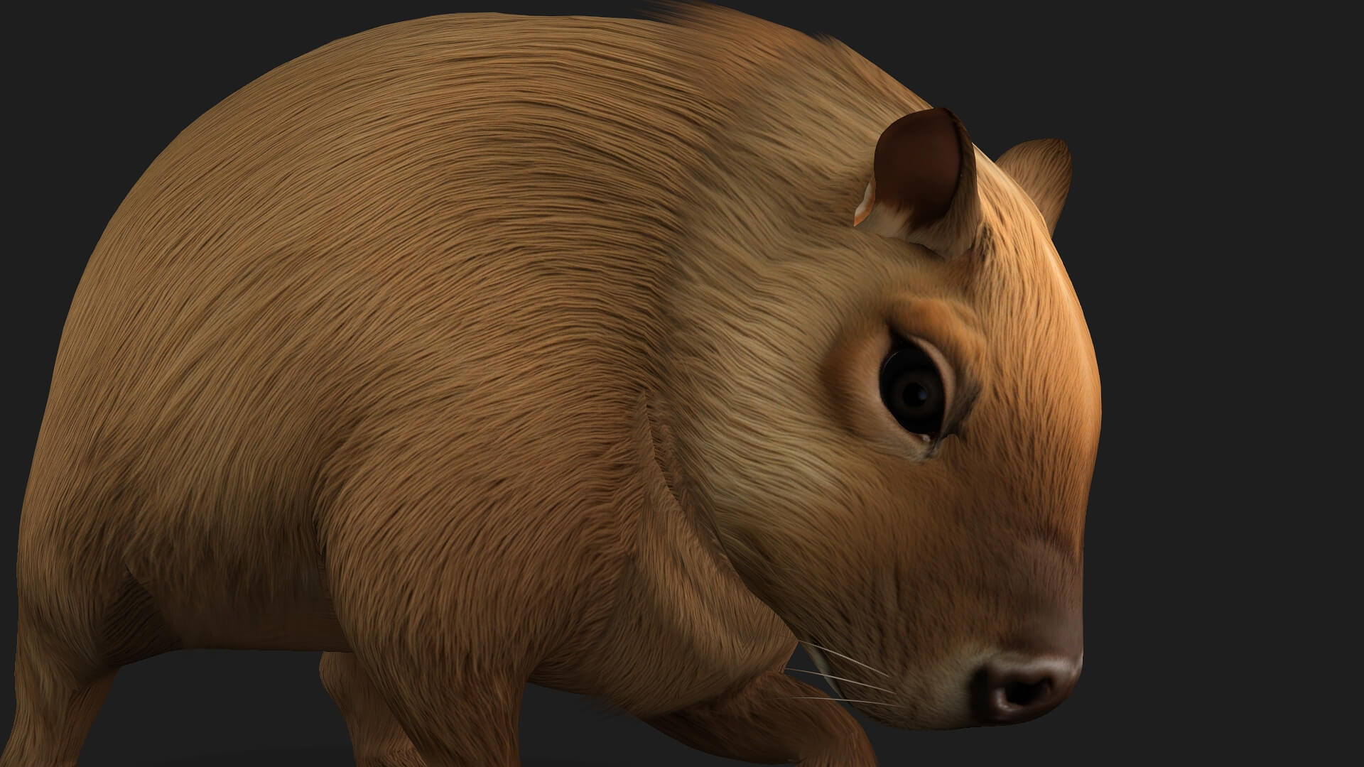 Capybara-A1-Animated 3D Animation by Animated3d