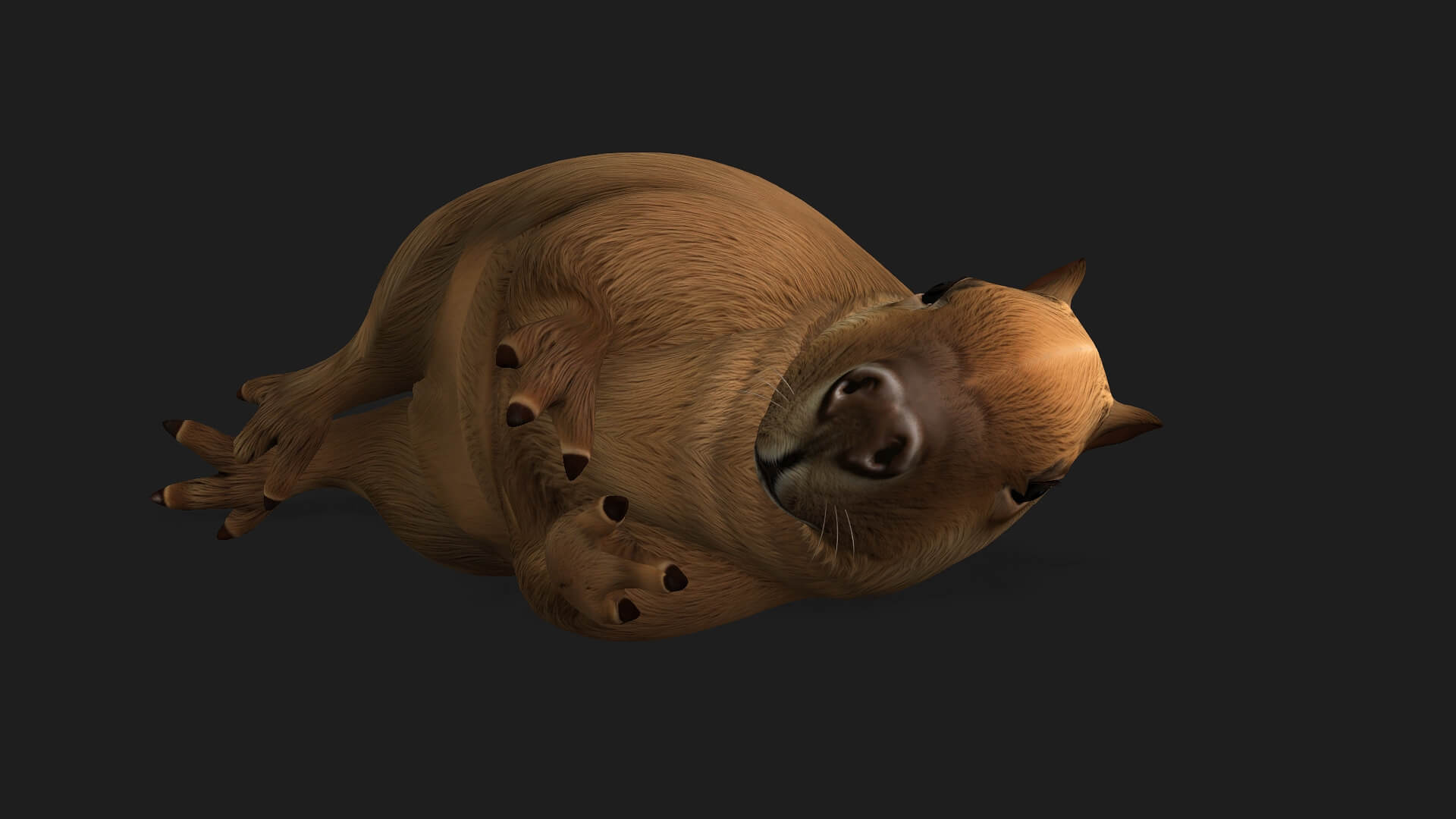 Capybara-A1-Animated 3D Animation by Animated3d