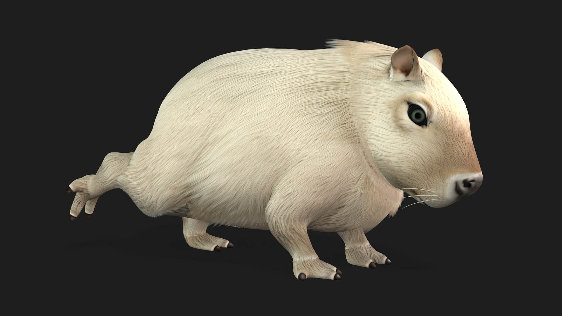 Capybara-A2-Animated 3D Animation by Animated3d