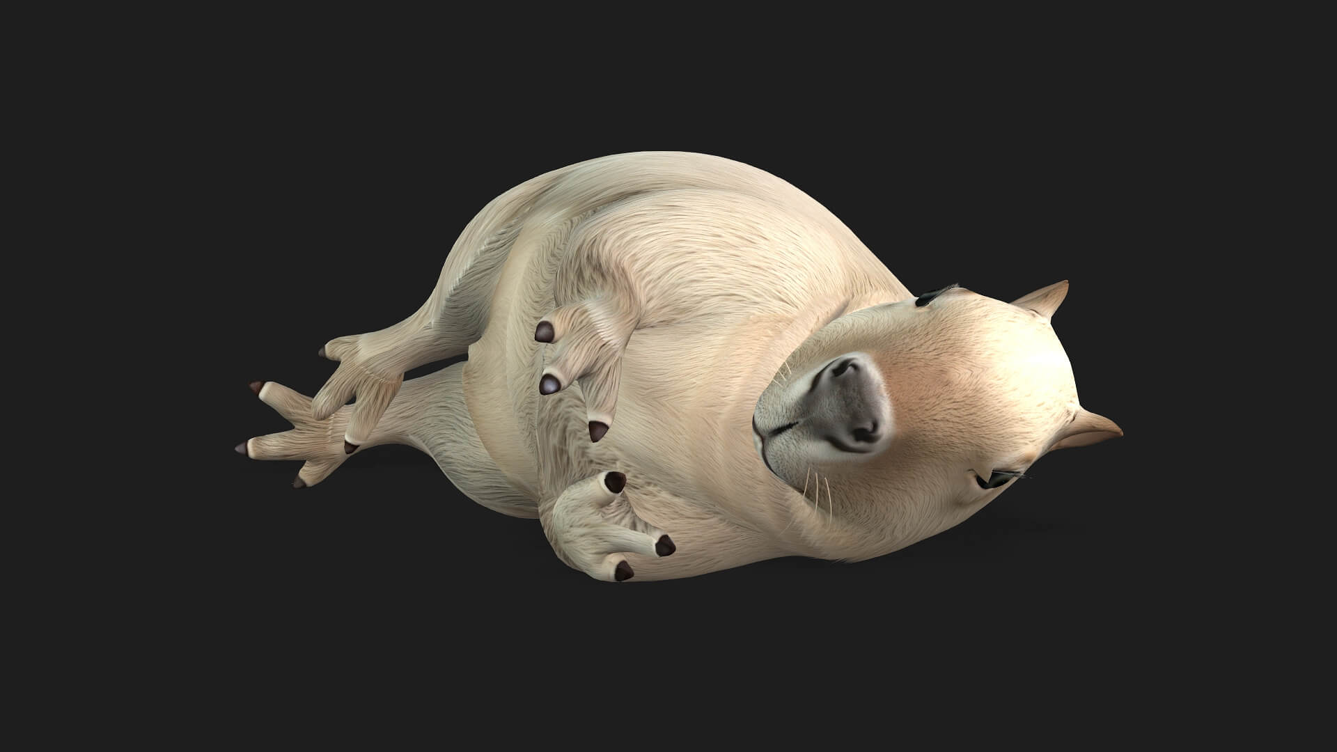 Capybara-A2-Animated 3D Animation by Animated3d