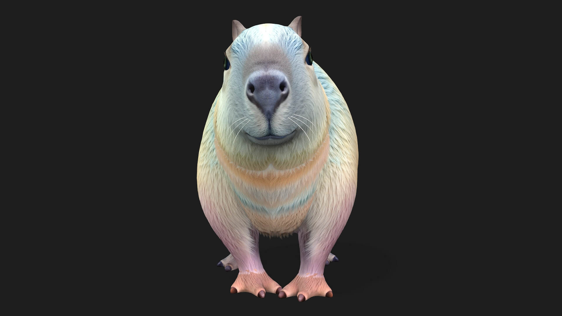 Capybara-A4-Animated 3D Animation by Animated3d