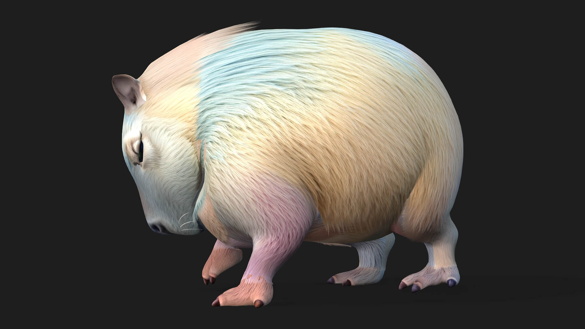 Capybara-A4-Animated 3D Animation by Animated3d