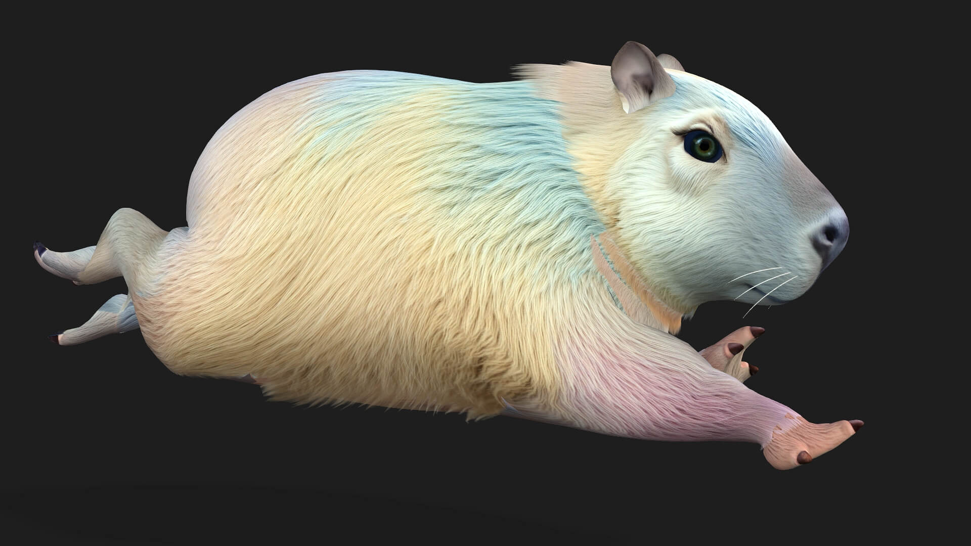 Capybara-A4-Animated 3D Animation by Animated3d