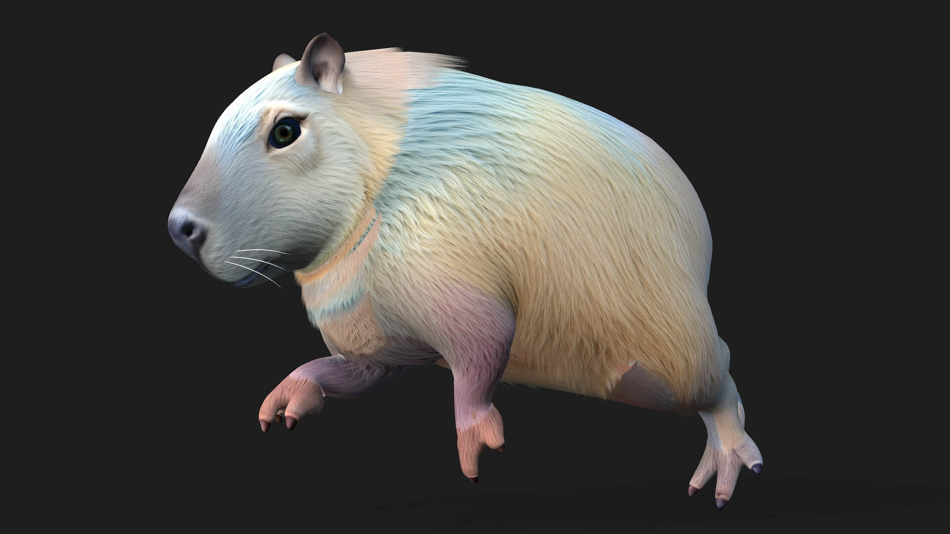 Capybara-A4-Animated 3D Animation by Animated3d