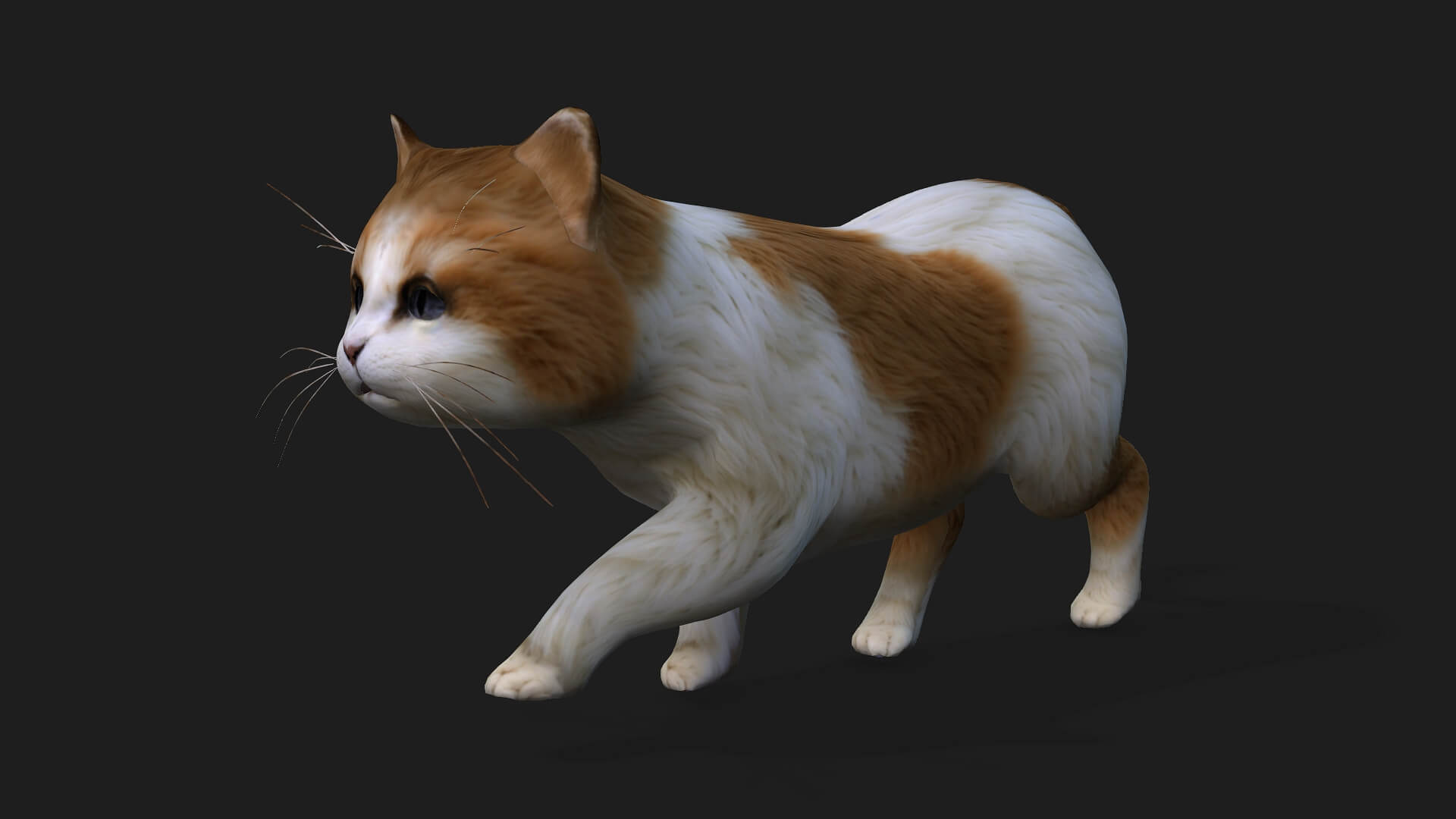 Cat A1 Animated - 3D Model by Animated3d
