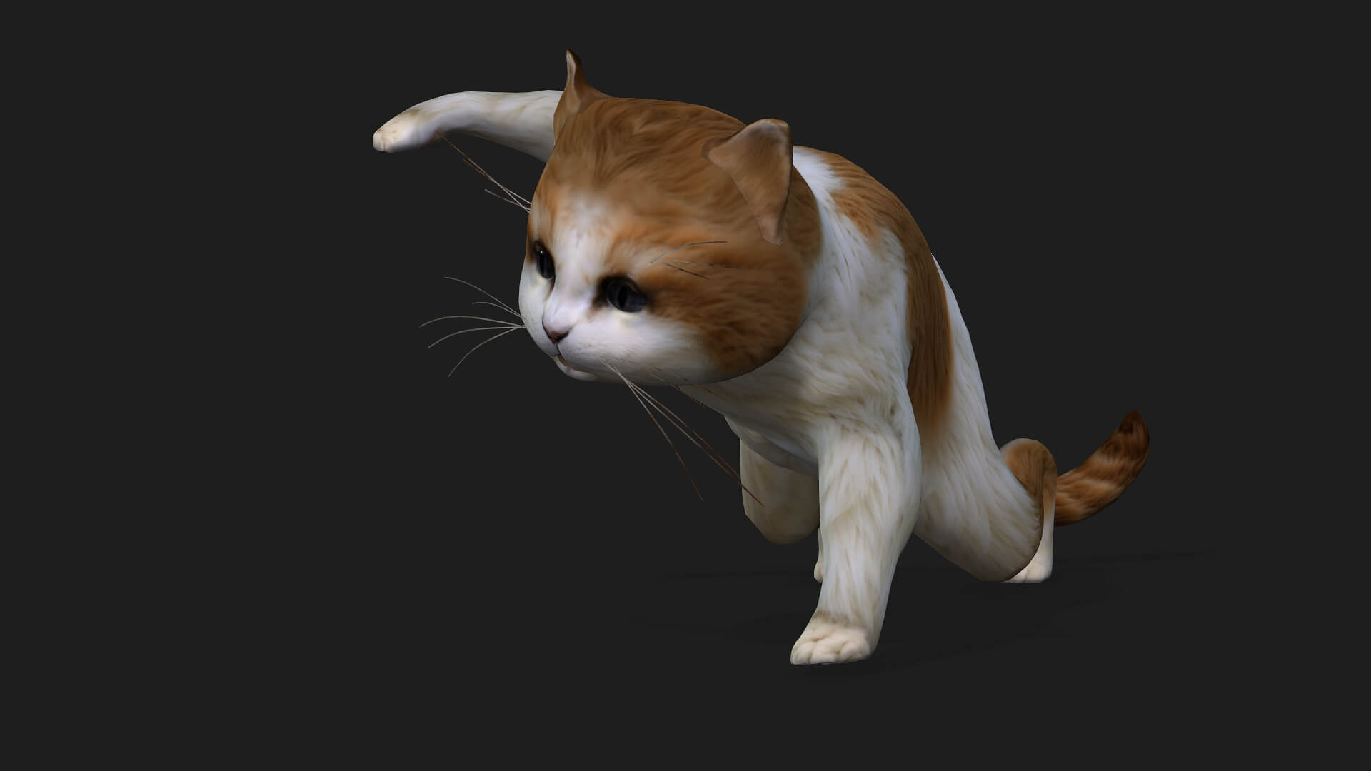 Cat A1 Animated - 3D Model by Animated3d