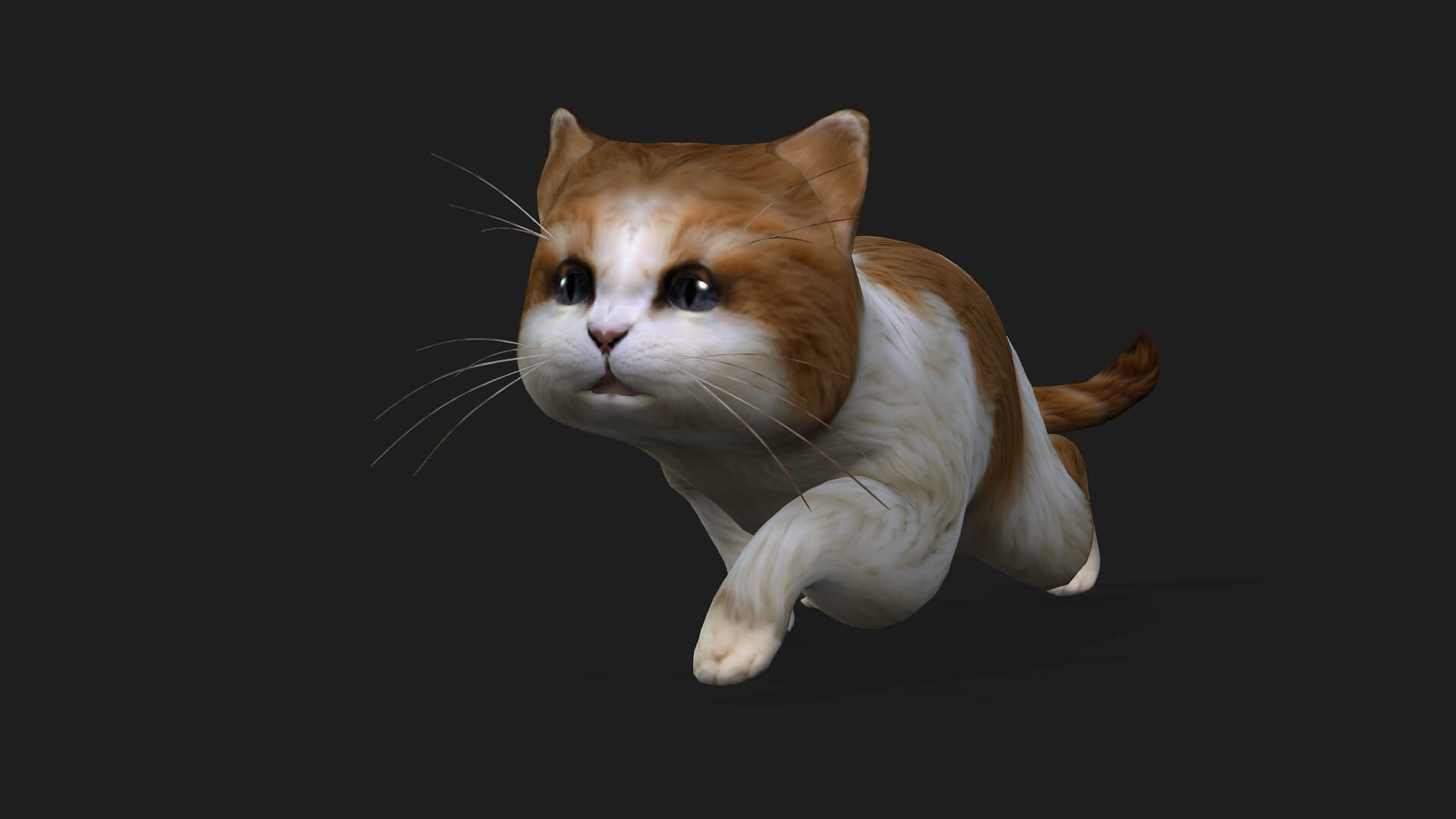 Cat A1 Animated - 3D Model by Animated3d