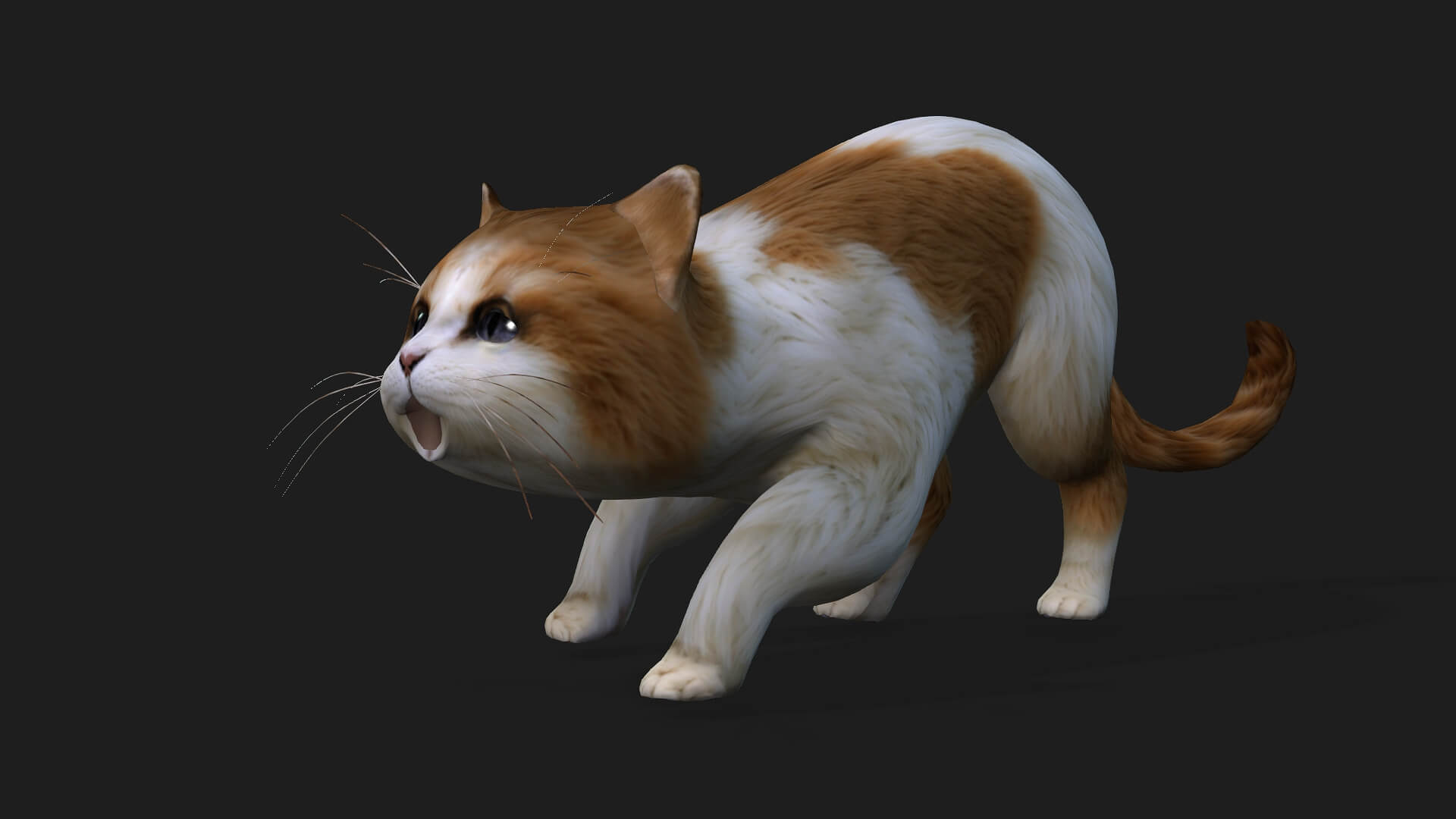 Cat A1 Animated - 3D Model by Animated3d