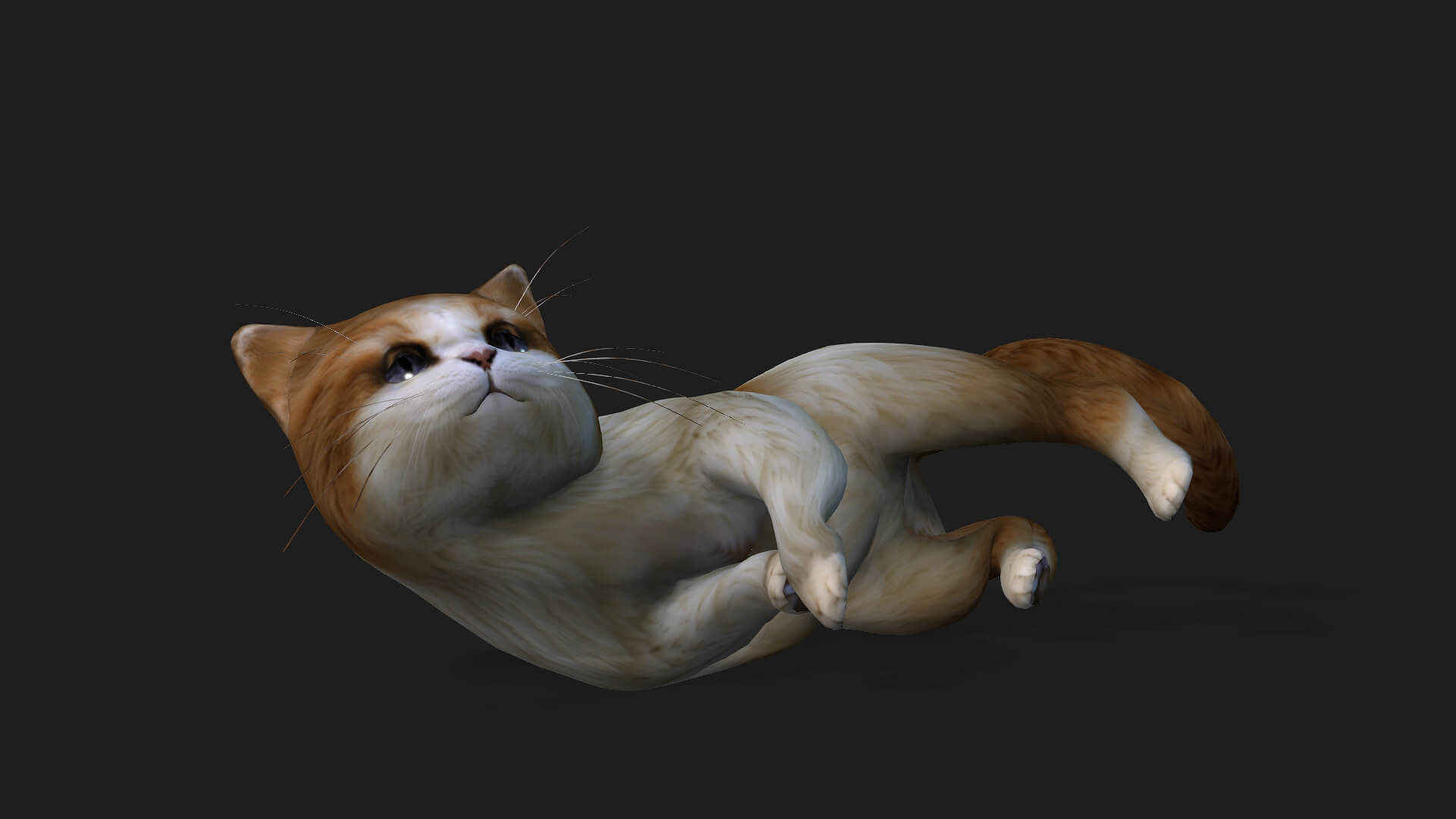 Cat A1 Animated - 3D Model by Animated3d