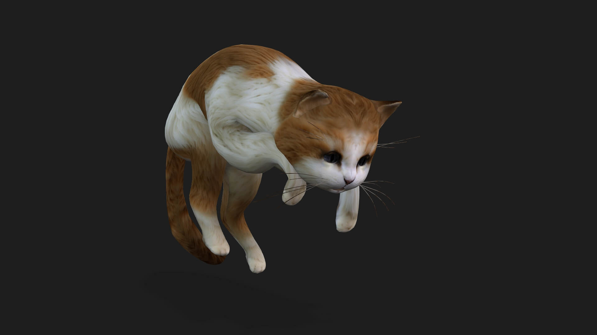 Cat A1 Animated - 3D Model by Animated3d