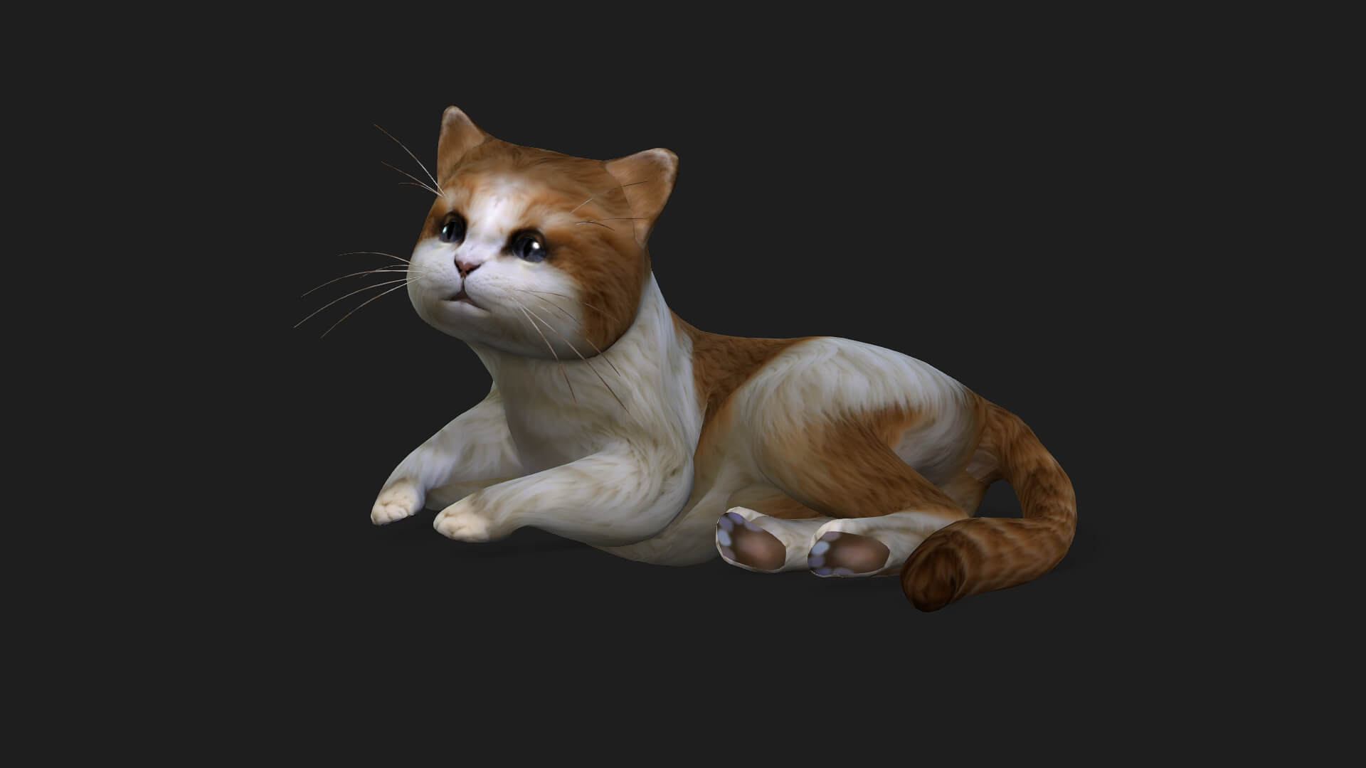 Cat A1 Animated - 3D Model by Animated3d