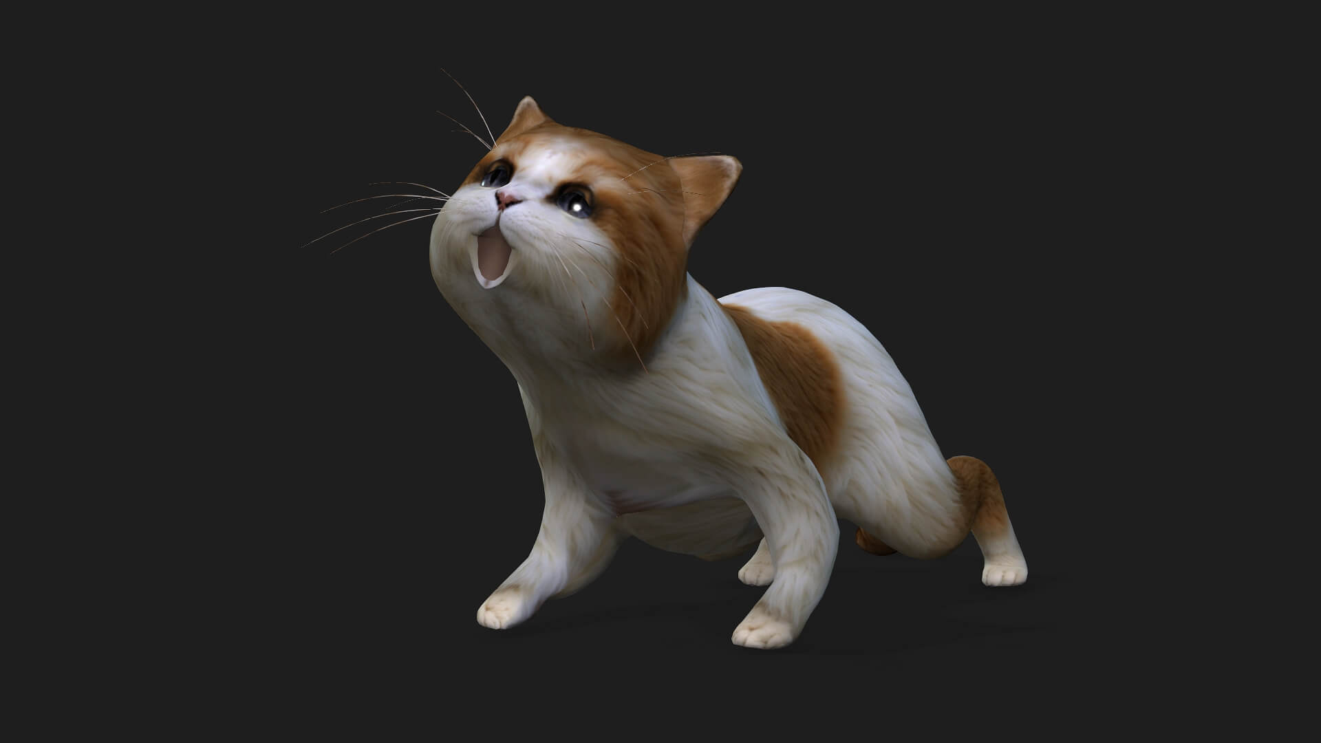 Cat A1 Animated - 3D Model by Animated3d