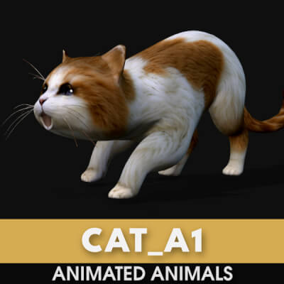 Cat A1 Animated - 3D Model by Animated3d