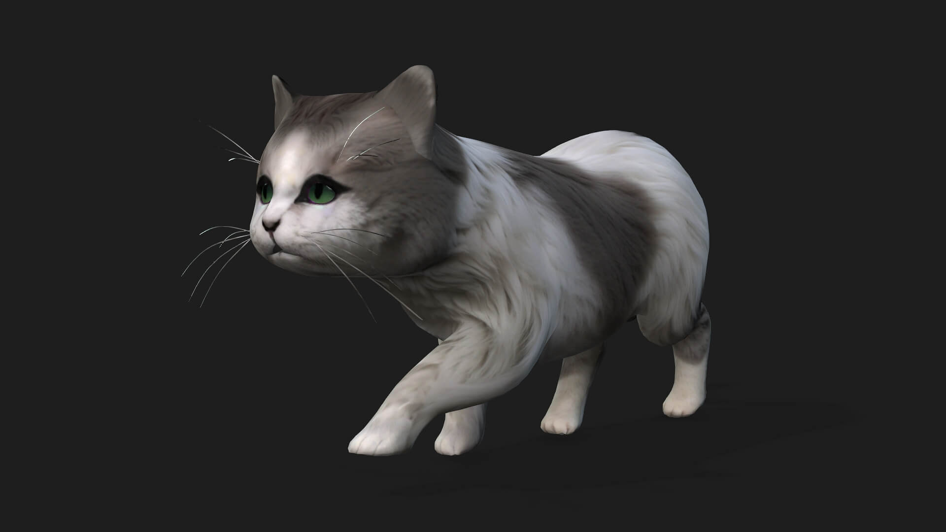 Cat A2 Animated - 3D Model by Animated3d