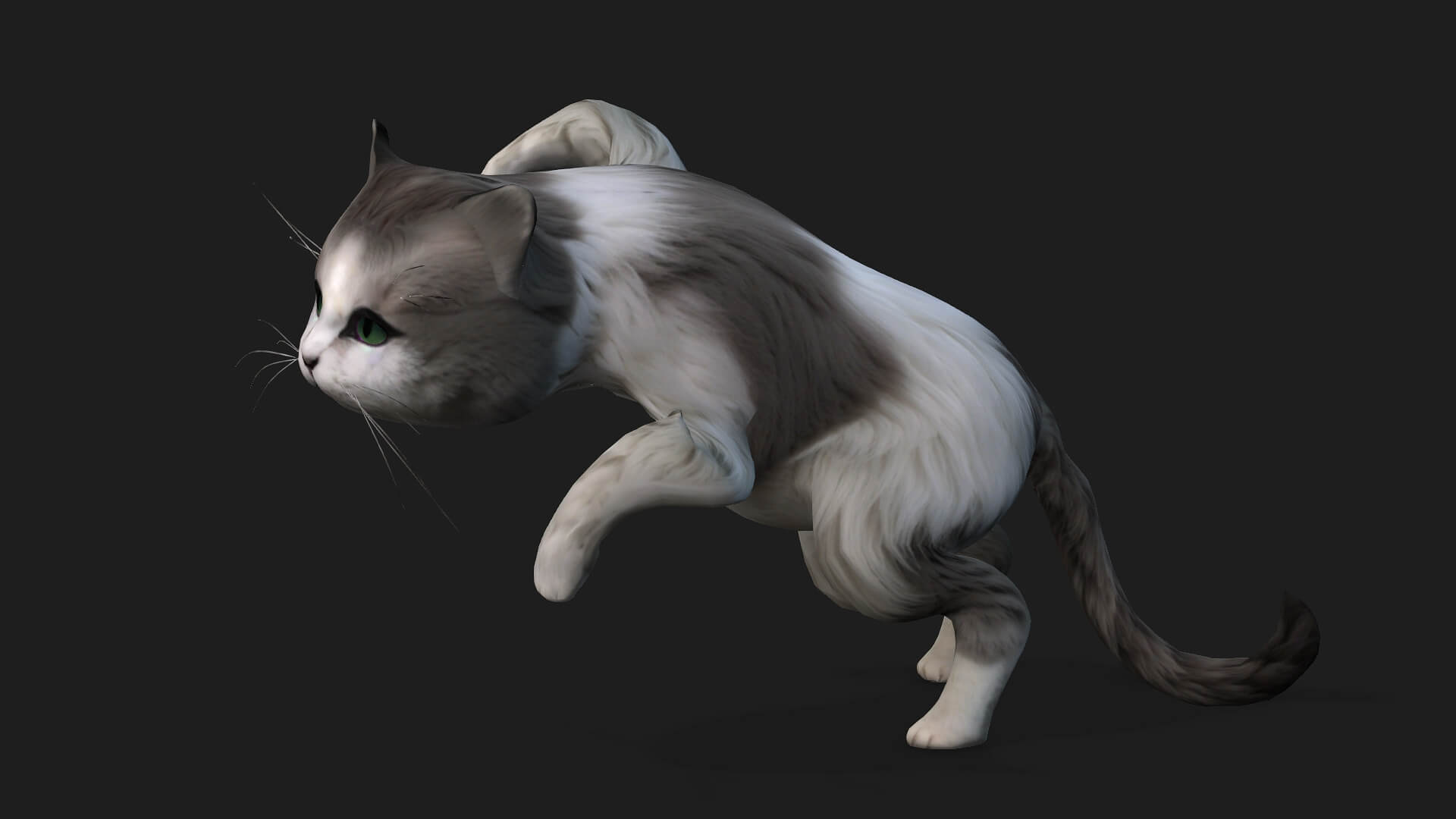 Cat A2 Animated - 3D Model by Animated3d