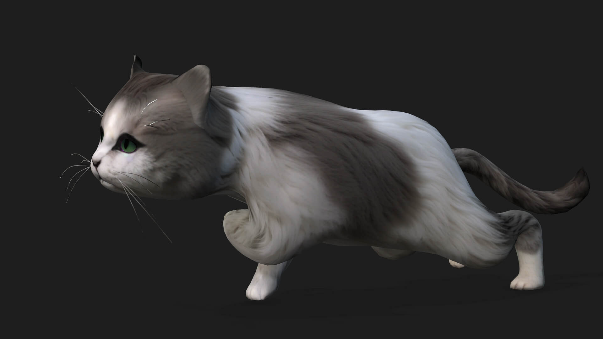 Cat A2 Animated - 3D Model by Animated3d