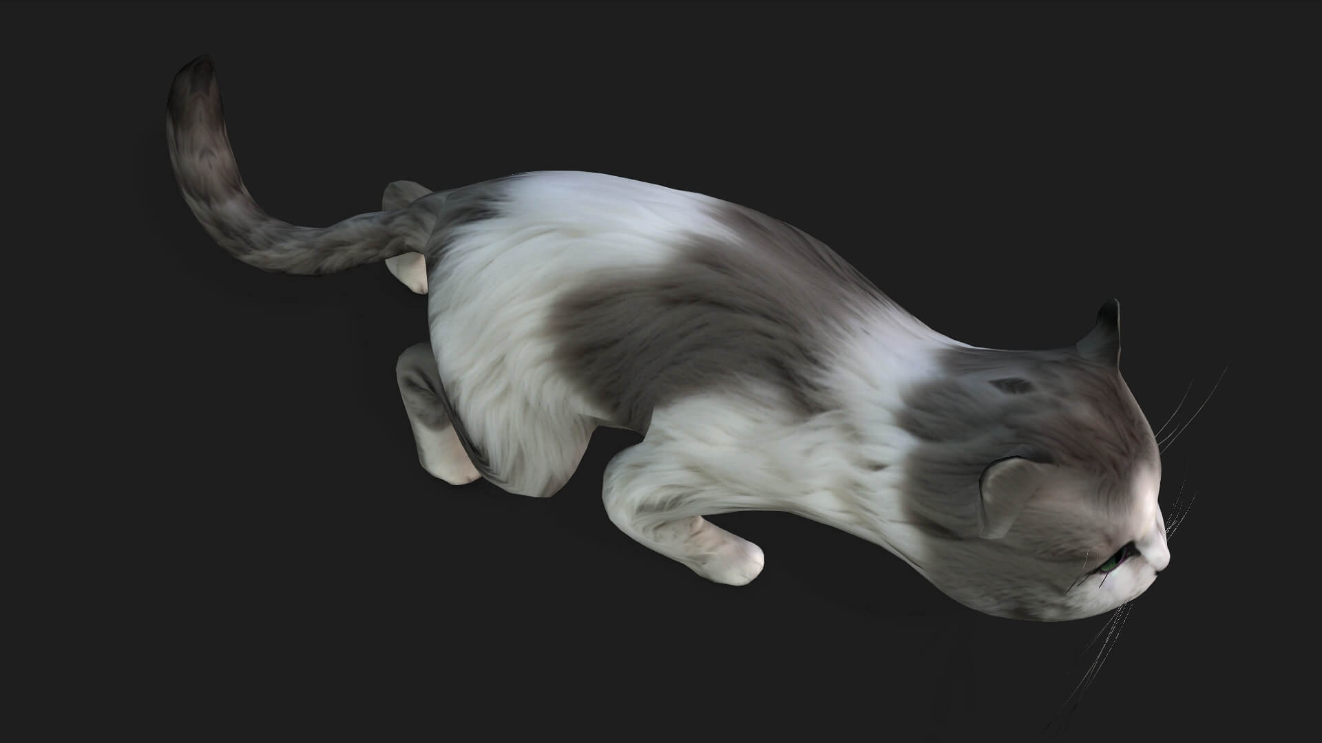 Cat A2 Animated - 3D Model by Animated3d