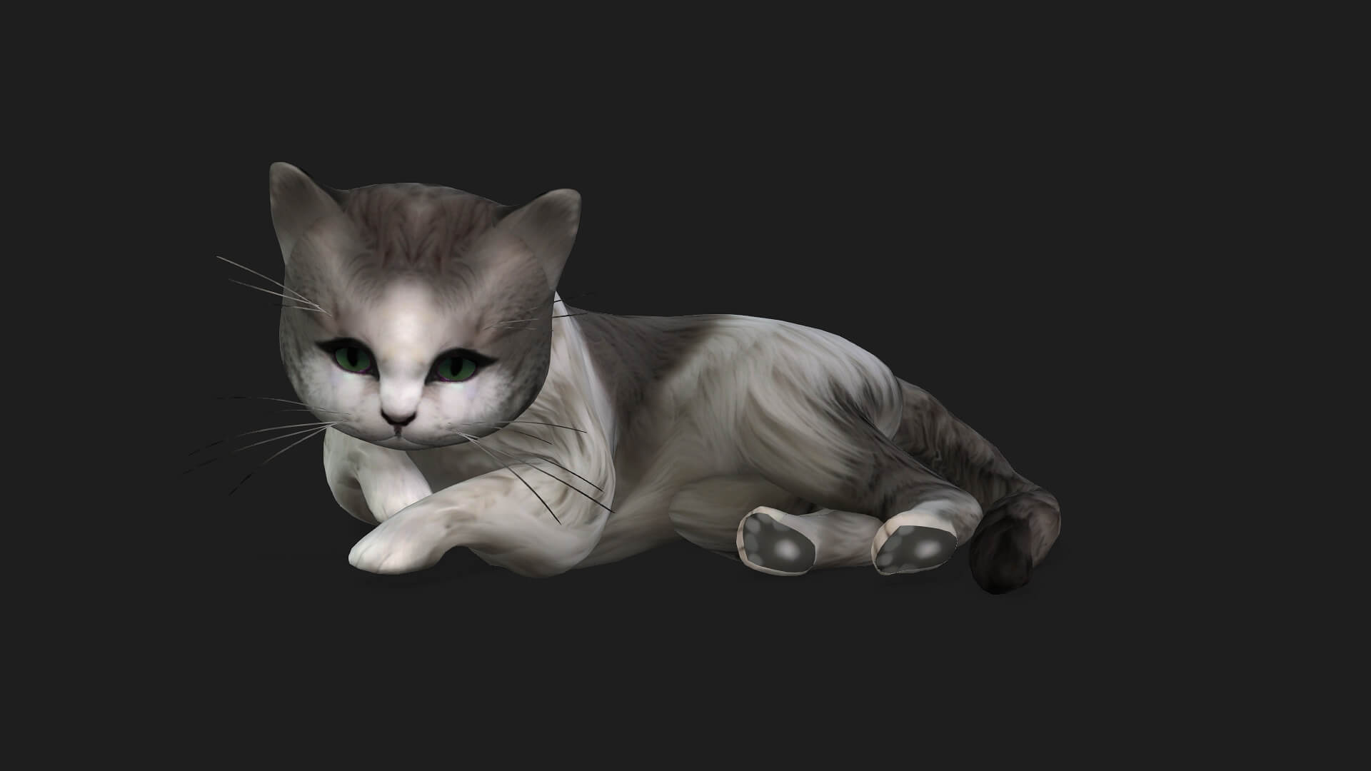 Cat A2 Animated - 3D Model by Animated3d