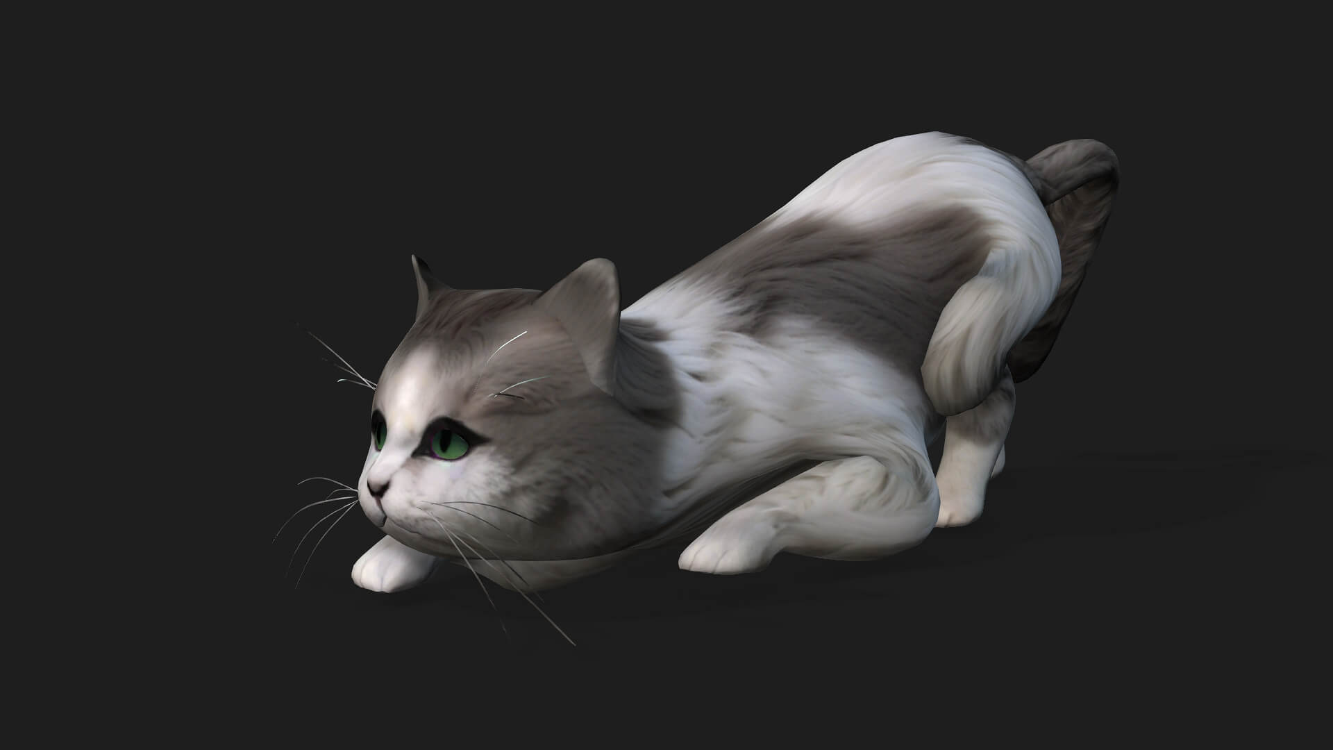 Cat A2 Animated - 3D Model by Animated3d