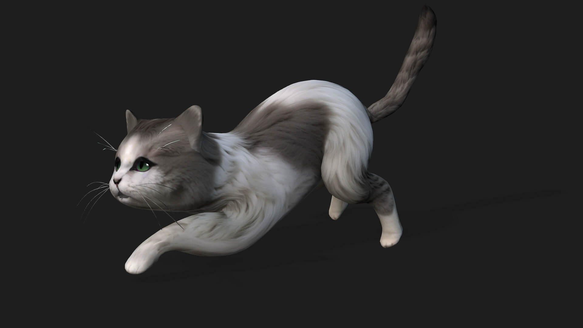 Cat A2 Animated - 3D Model by Animated3d