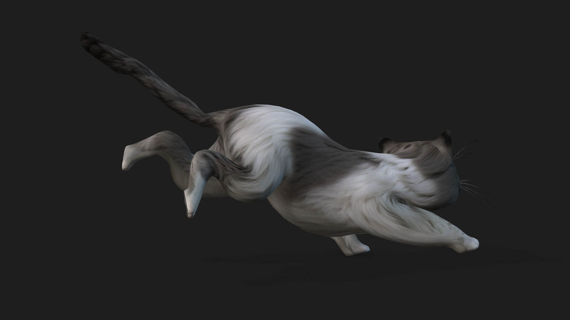 Cat A2 Animated - 3D Model by Animated3d