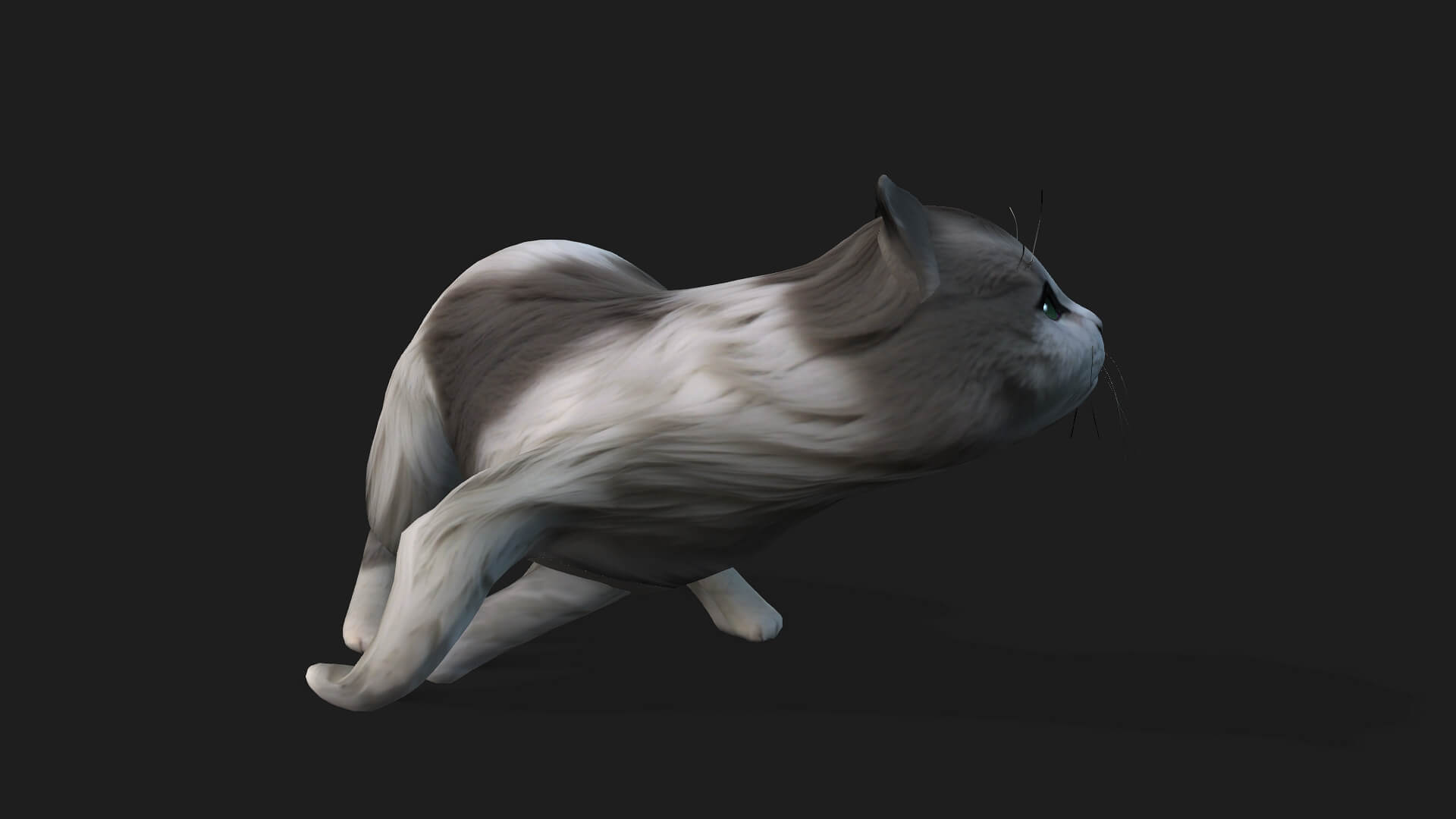 Cat A2 Animated - 3D Model by Animated3d
