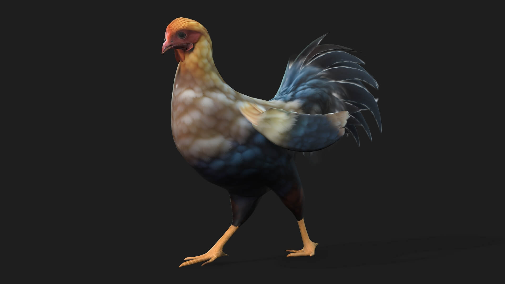 Chicken A1 Animated - 3D Model by Animated3d